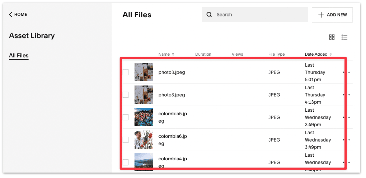 How to download images from Squarespace Asset Library