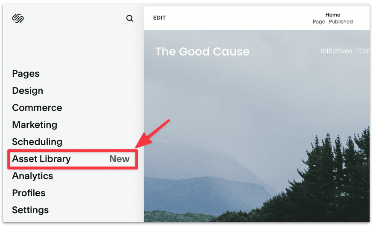 How to download images from Squarespace Asset Library