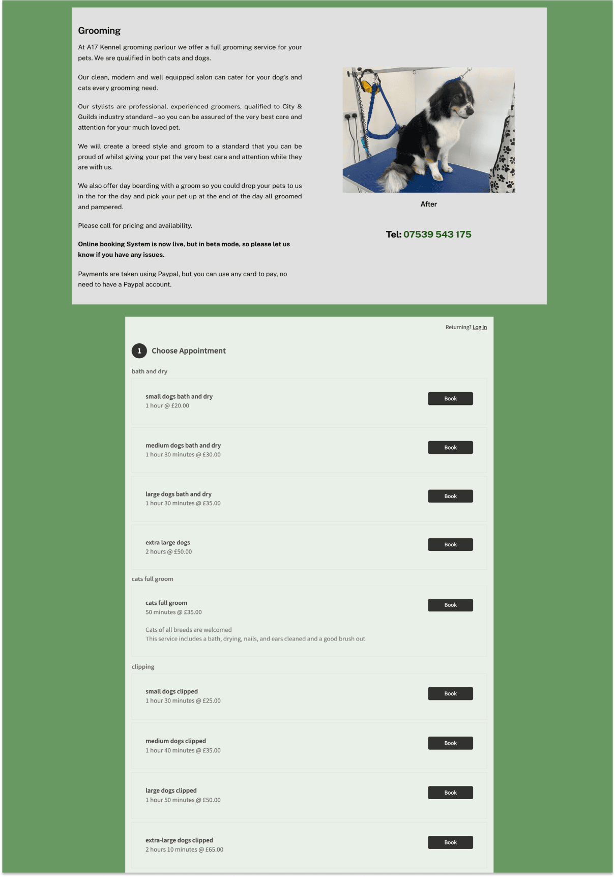 12 Businesses that use Squarespace scheduling to book clients