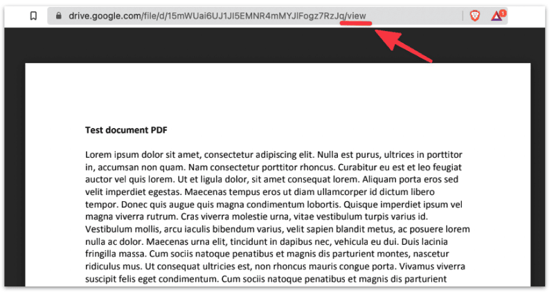 The Best Way to Embed PDF in Squarespace (Also Free)