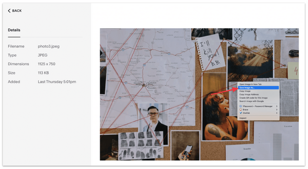 How to download images from Squarespace Asset Library